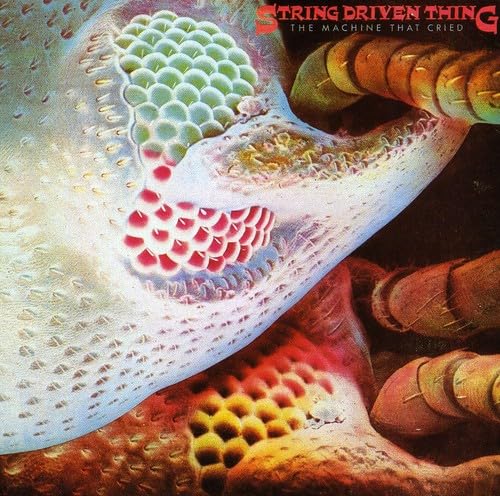 The Machine That Cried: String Driven Thing: Amazon.in: Music}