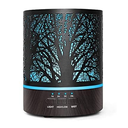 The 29 Best Water Diffusers of 2024 [Verified] - Cherry Picks