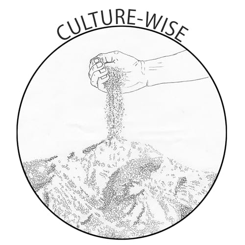 Amazon.com: Culture-Wise : Daniel Shugert and Ross Anderson : Books
