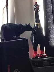 Amazon.com: Animolds Hug Me Giant Rubber Chicken- Huge Screaming Rubber ...