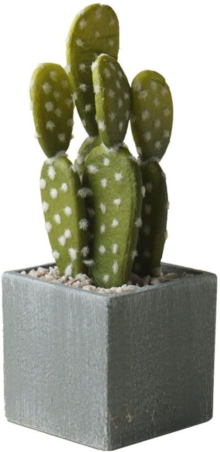 Amazon.com: Fycooler Artificial Succulent Plants,Fake Cactus Decorative ...
