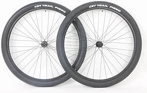 Amazon.com : 29 inch 29er Shimno Centerlock Disc/Rim Brake Mountain ...