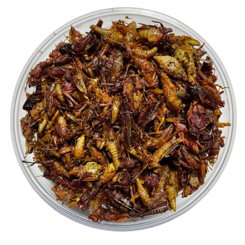 Amazon.com: Dehydrated Chapulin Roasted High Vacuum Packaged Gourmet ...
