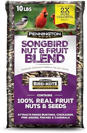 Amazon.com : Audubon Park Extreme Variety Wild Bird Seed for Outside ...