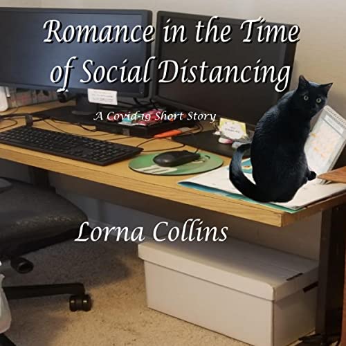 Amazon.com: Romance in the Time of Social Distancing: A Covid-19 Short ...