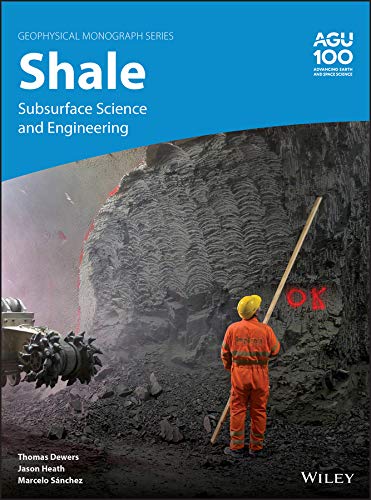 Shale: Subsurface Science and Engineering (Geophysical Monograph Series ...