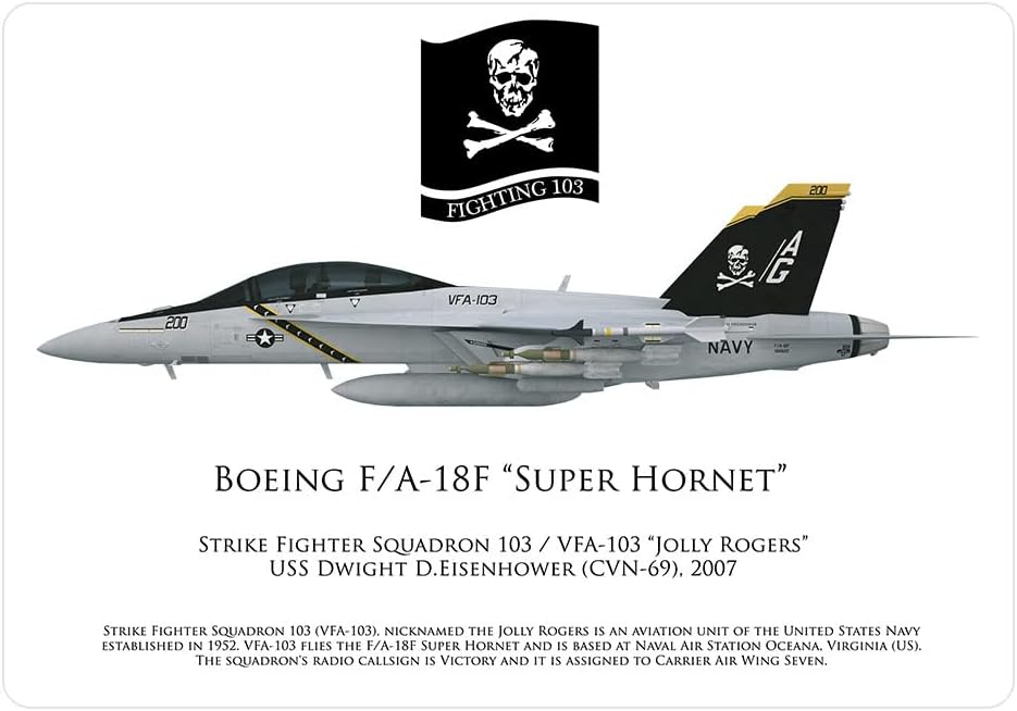 Amazon.com: Future of Flight Jolly Rogers Fighting 103 White Aluminum ...