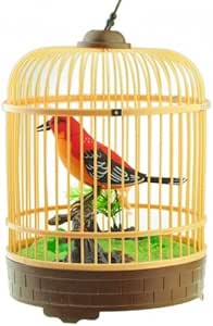 Amazon.com: Ampersand Shops Sound-Activated Singing & Chirping Toy Bird ...