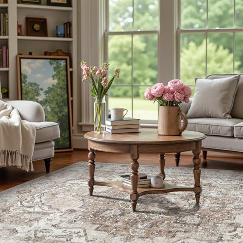 Amazon.com: jinchan Area Rug 6x9 Washable Living Room Rug Indoor Large ...