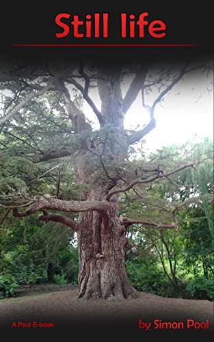 Still Life eBook : Pool, Simon: Amazon.in: Kindle Store