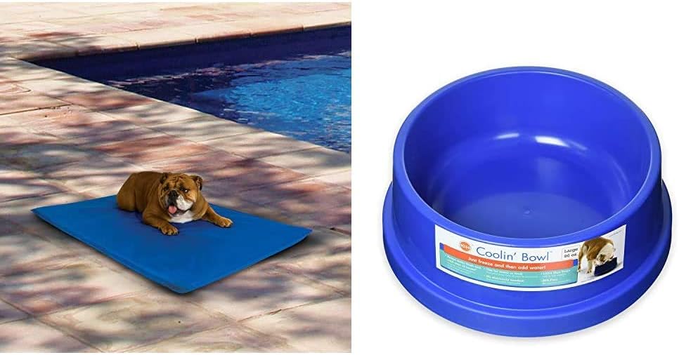 Pet Supplies : K&H Pet Products Cooler Dog Combo Cool Bed III Medium ...