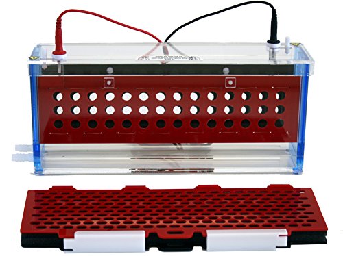 CBS Scientific Electrophoretic Tank Triple Wide Mini Blotting System CE ...