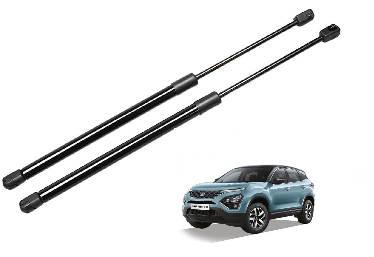AutoClean Dicky Shocker/Dicky Lifter/Gas Strut/Gas Piston/Gas Springs ...