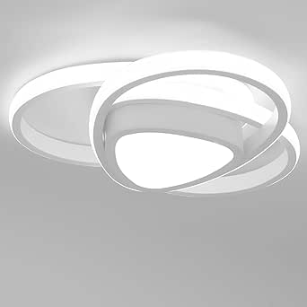 EIDISUNY LED Ceiling Light Fixtures, 48W Modern Small Ceiling Light ...