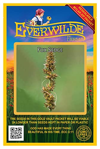 Best Bowles Golden Sedge: Top Ornamental Grasses for Shade and Moisture ...