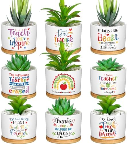Amazon.com : Domensi 9 Pcs Teacher Appreciation Gifts Ceramic Succulent ...