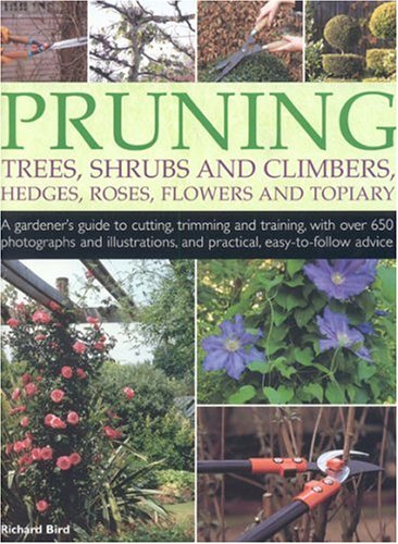 Pruning Trees, Shrubs & Climbers: Bird, Richard: 9781844762958: Amazon ...