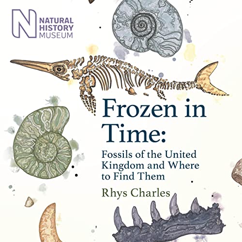 Frozen Fossils