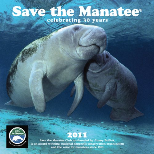Manatees 2011 Square 12X12 Wall Calendar: BrownTrout Publishers Inc ...