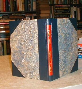 BLIND SIDE: Lindh, Stewart and Solomon Weingarten: Amazon.com: Books