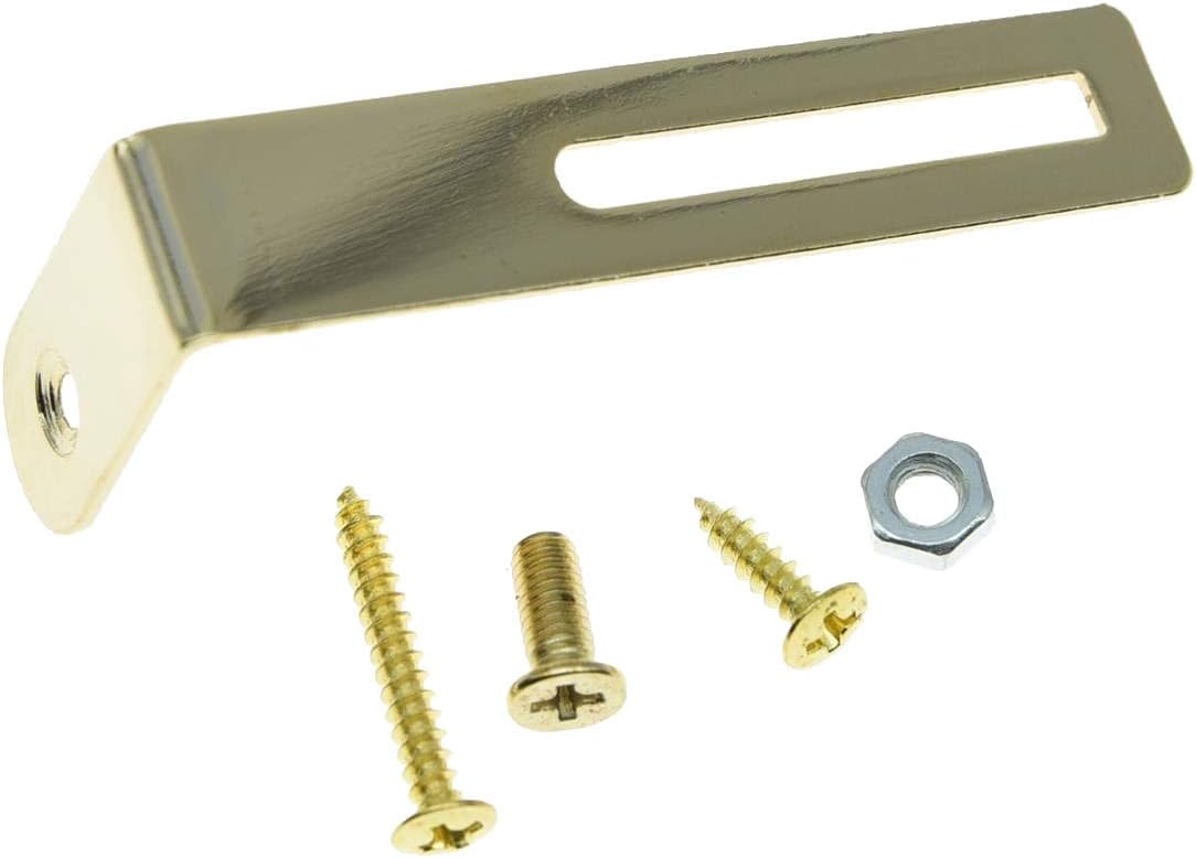 Amazon.com: LP Pickguard Bracket Scratch Plate Bracket with Screws for ...