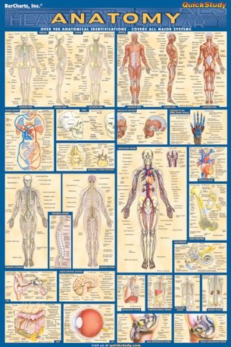 Amazon | Anatomy (Medical Series) | Barcharts, Inc. | Medical Atlases