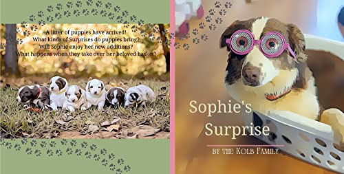 Sophie's Surprise - Ordinary Australian Shepherd surprises her family ...