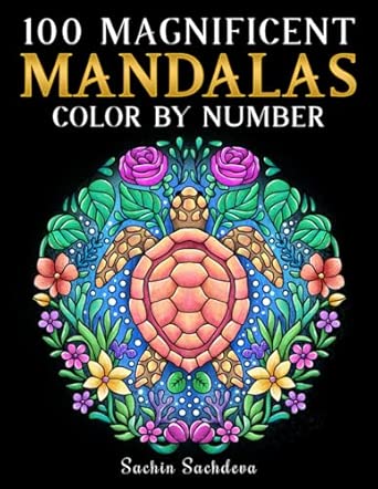 Amazon.com: 100 Magnificent Mandalas: Color by Number for Adults ...
