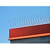 Amazon.com : Nixalite Stainless Steel Bird Spikes E-Spike (8 Ft. (4-2 ...