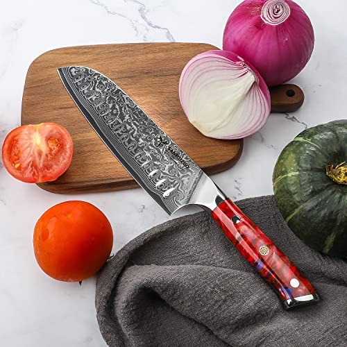 Chef Cooking Knives Set - Xuan Series Sunset Red