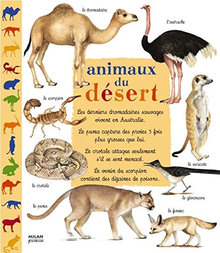 Animaux du désert: Amazon.co.uk: Haward, Christian, Fichaux, Catherine ...