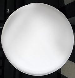 Amazon.com: MuscleTech | Creatine Chews | Creapure | Muscle Recovery + Builder for Men & Women ...