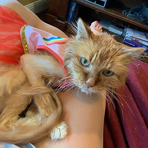 No Matter Where de Kristina Dee en Amazon Music Unlimited