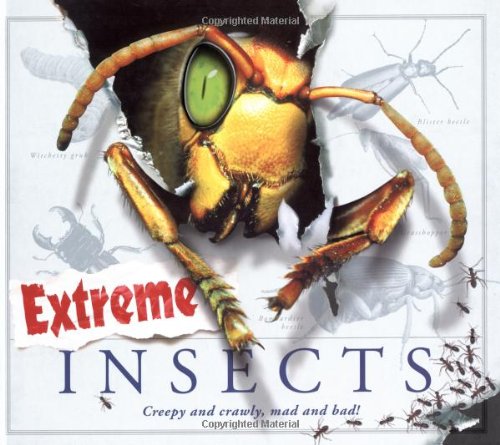 Extreme Insects: Parker, Steve: 9781847322944: Amazon.com: Books