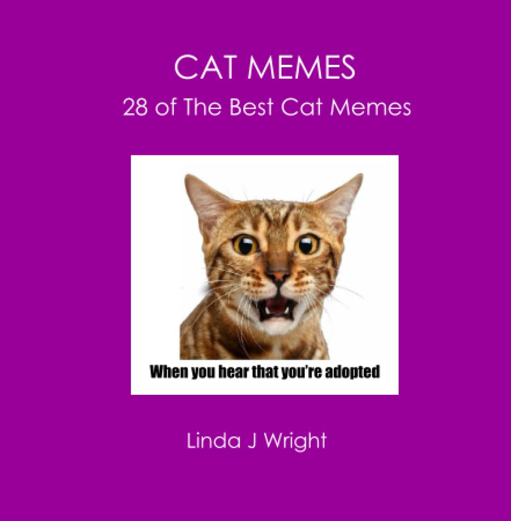 Buy CAT MEMES: 28 Of The Best Cat Memes Online at desertcartINDIA