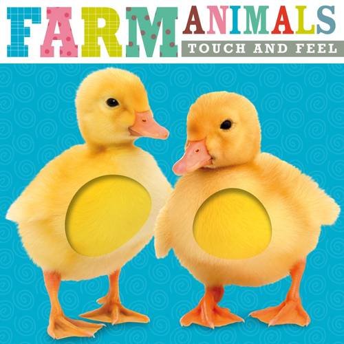 Farm Animals (Touch & Feel Series): 9781785981586: Amazon.com: Books