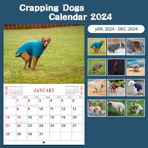 Amazon.com : 2024 Wall Calendar Dog Pooping Calendar 2024 12 Months ...