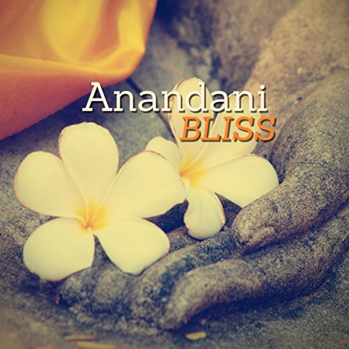 Amazon.com: Anandani Bliss : Anandani: Digital Music