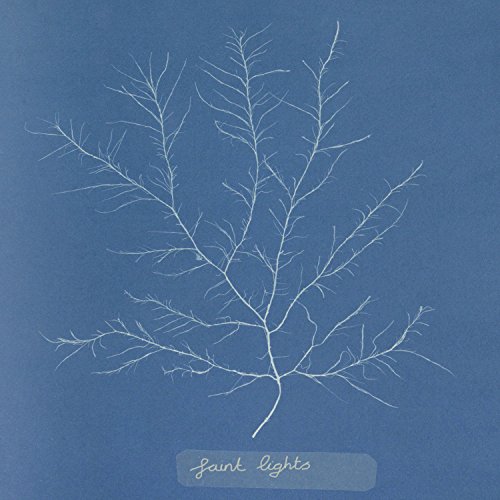 Amazon.com: Faint Lights : The Faint Lights: Digital Music