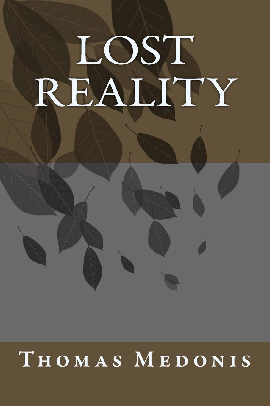 Lost Reality: Medonis, Thomas: 9781502733023: Amazon.com: Books