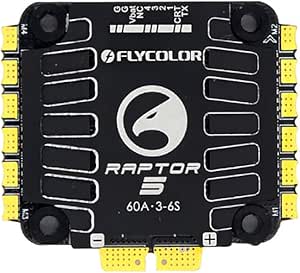 Amazon.com: FLYCOLOR Drone 3-6S 60A 4in1 BEC G071 Raptor 5th Flight ...