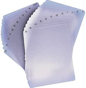 Amazon.com: DiscSox 24 DVD Pro Dividers Blank/Alphabetical - 24DIVDP ...
