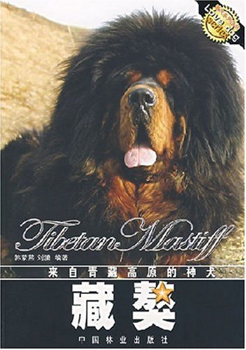 Amazon.com: Tibetan Mastiff - Dog God from the Qinghai-Tibet Plateau ...