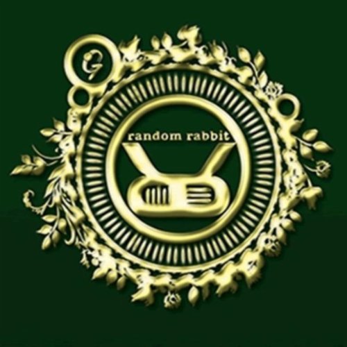 Play Ornament by Random Rabbit on Amazon Music