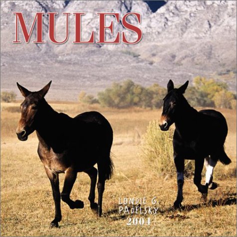 Mules 2004 Calendar: Unknown Author: 9780763170585: Amazon.com: Books