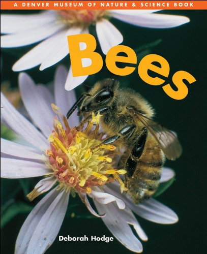 Bees (Denver Museum Insect Books): Hodge, Deborah, Mulock, Julian ...