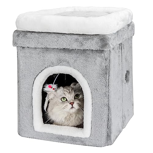 Cat Cube – The 15 best products compared - Wild Explained