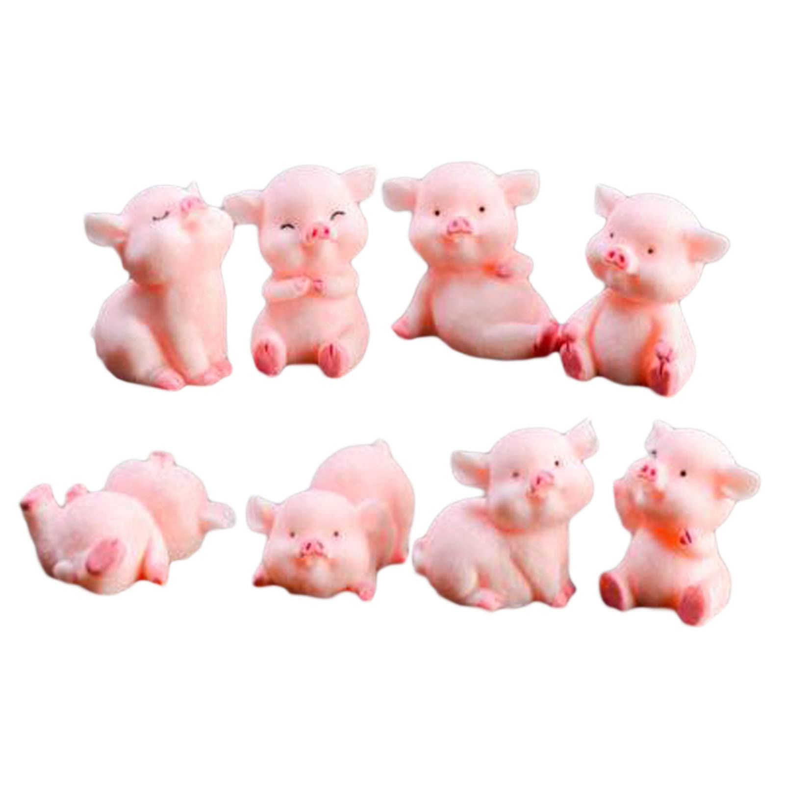 Cute Teacup Pig Birthday