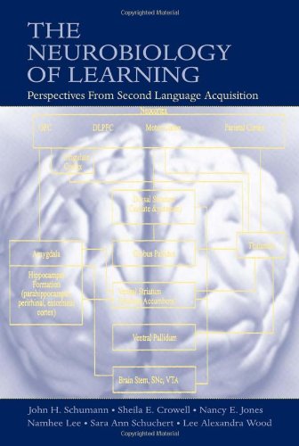 The Neurobiology of Learning: Perspectives From Second Language ...