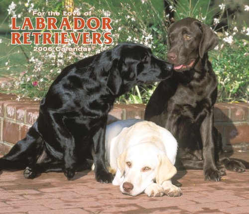 For the Love of Labrador Retrievers Deluxe 2006 Calendar: 9780763189730 ...